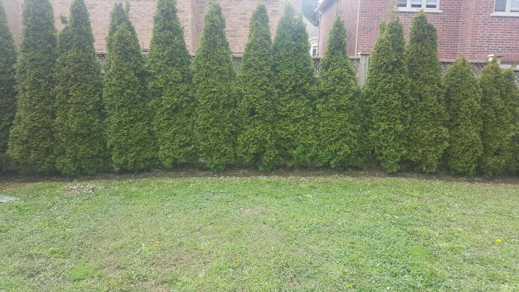 Red Oak Landscape Contractors INC | landscaping services | Ontario