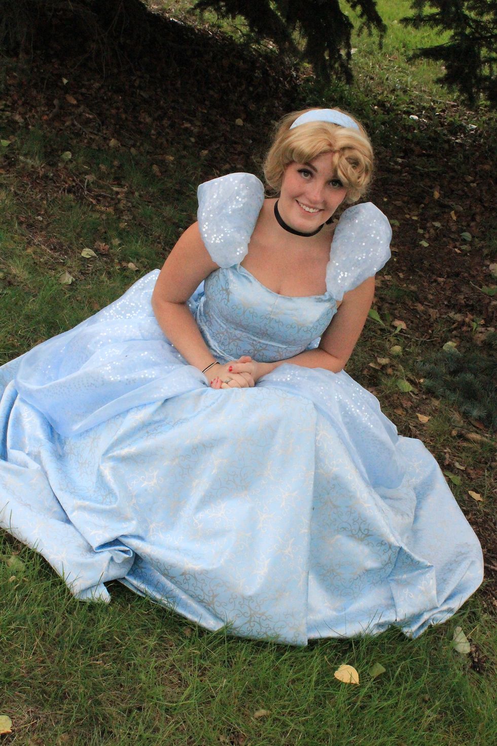 Wish I May Princesses