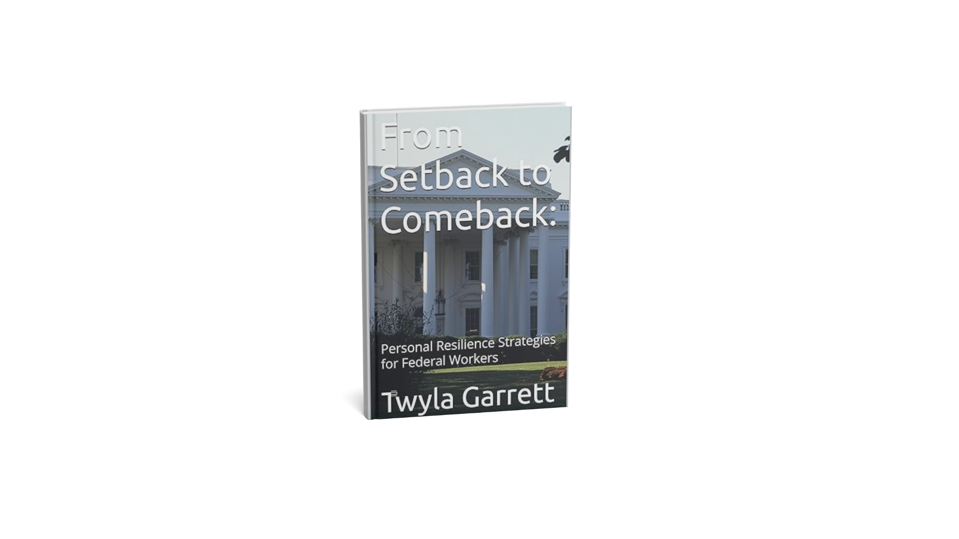 From Setback to Comeback: Personal Resilience Strategies for Federal ...