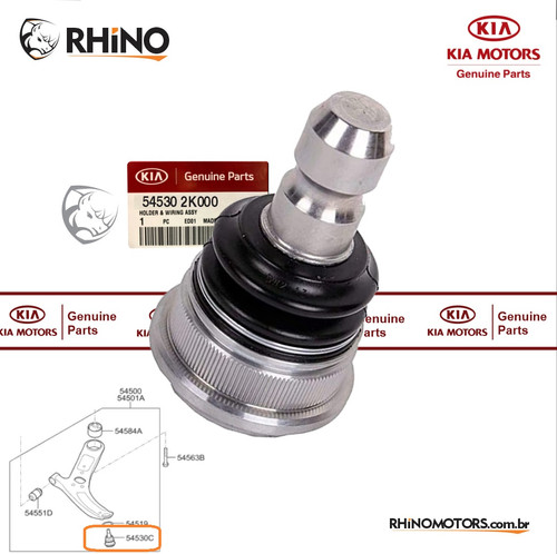 545302K000 Pivo Suspensao Inferior Dianteira Kia Picanto , Soul | Rhino ...