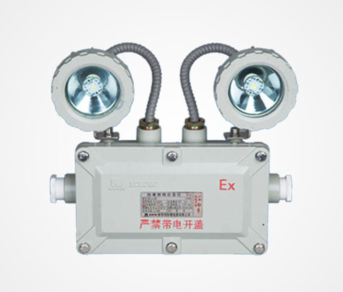 Series Explosion Proof Emergency Light Fittings | Power Technic
