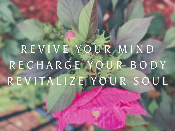 Drip Drop IV Hydration & Wellness, Body Sculpting, raleigh