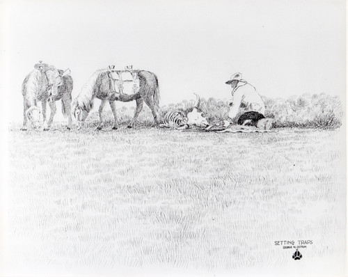 Setting Traps | OstromArtWork