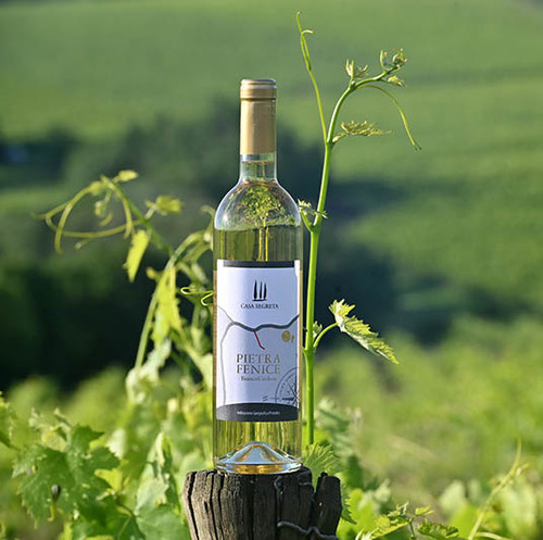 Grechetto Wine | Italian Wine Shop - Casale Polegri