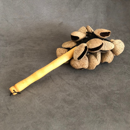Natural Pangi Seed Nut Shell Rattle Stick Shaker | Aura Sounds