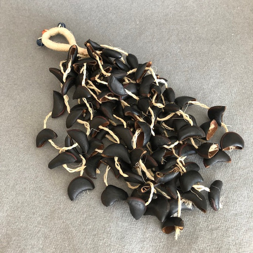 Nut Shell Cabalonga Shaker Trickling Water Sounds Natural Handmade ...