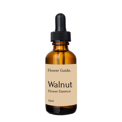 Walnut Bach Flower Remedy (15ml) | Flower Guide