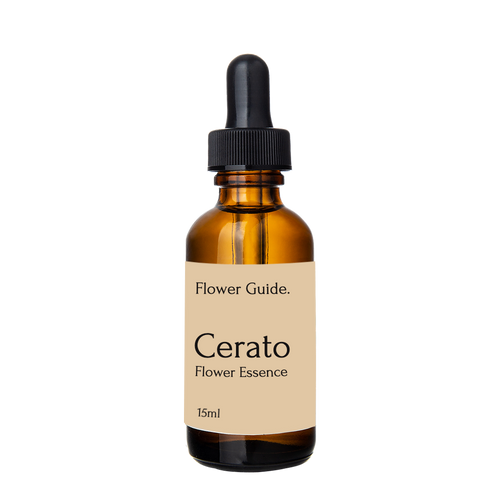 Cerato Bach flower Remedy (15ml) | Flower Guide