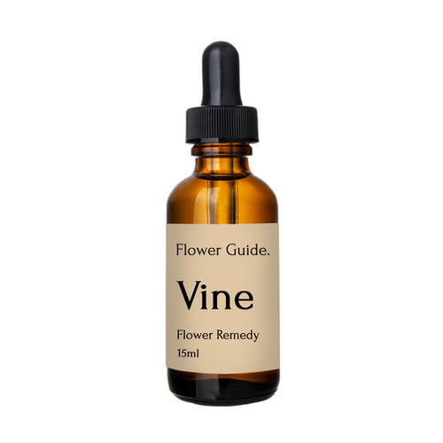Vine Bach Flower Remedy (15ml) | Flower Guide