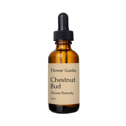 Chestnut Bud Bach Flower Remedy (15ml) | Flower Guide