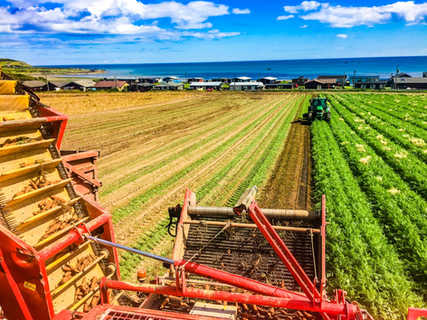 Growers | Meade Farm