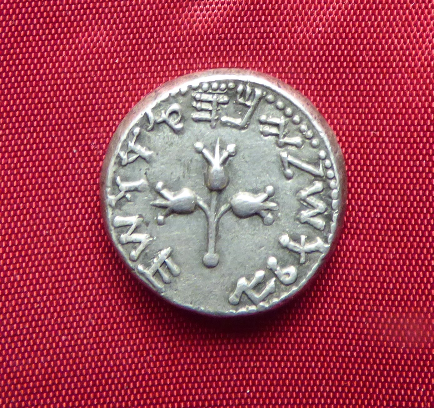 Ancient and Medieval Population | virtualjewishmuseum