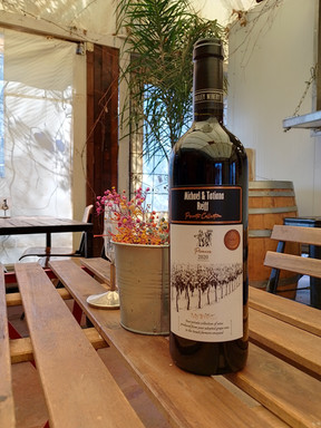 Israeli Wine | My Tree in Israel