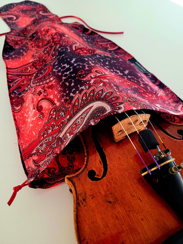 Violin Bag Mars Volcano | Carmen Bruna