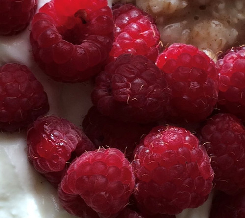 Raspberry, Latham, Rubus idaeus 'Latham' | Leaves for Wildlife