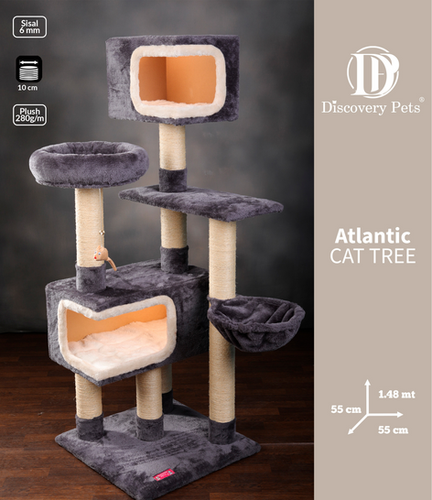 Atlantic | Discovery Pets