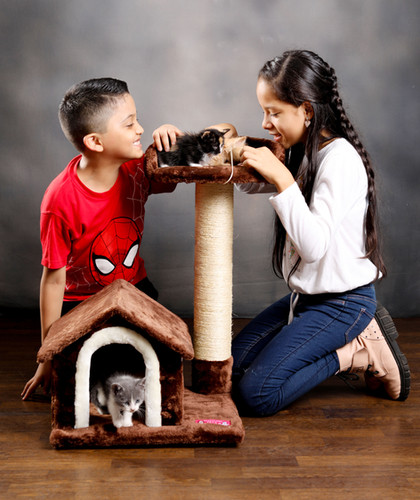 Casa 2 Pisos | Discovery Pets