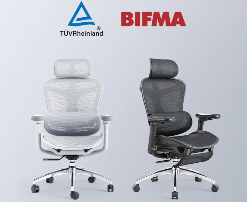 What are SGS and BIFMA standards?