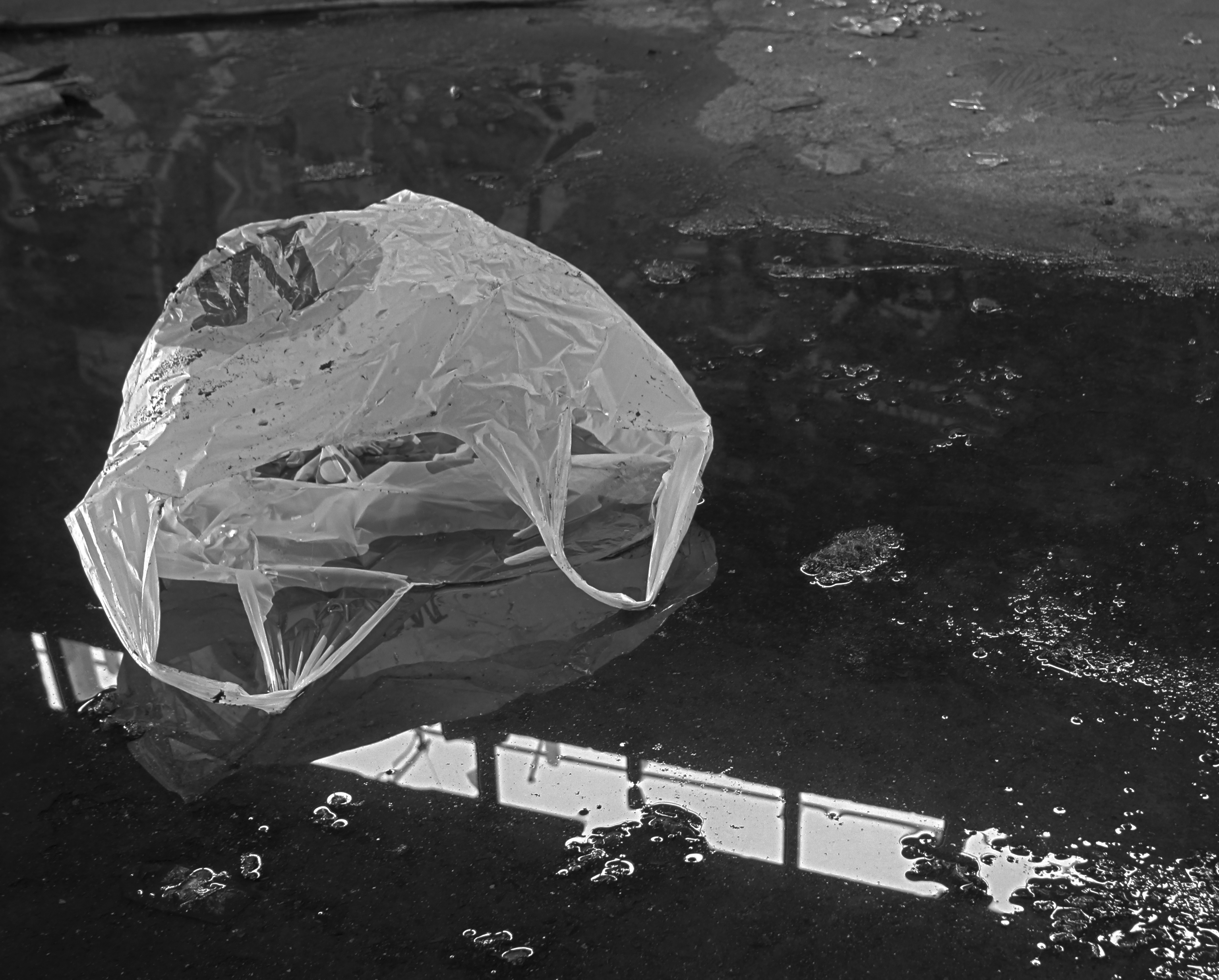 landscapes of Paul Cadden Artist