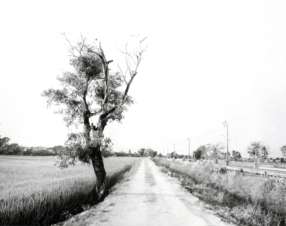 landscapes of Paul Cadden Artist