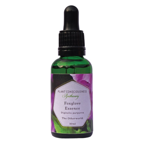 Foxglove Essence | plantconsciousness