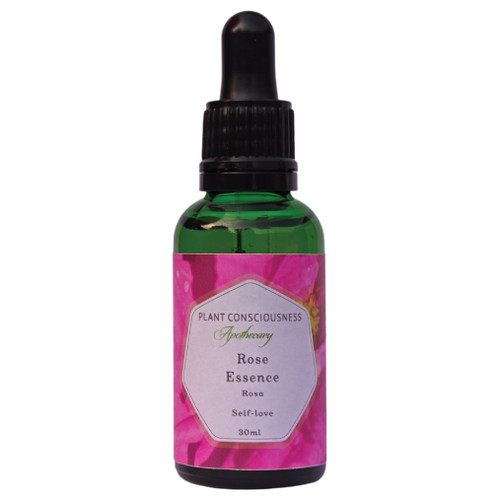 Rose Essence | plantconsciousness