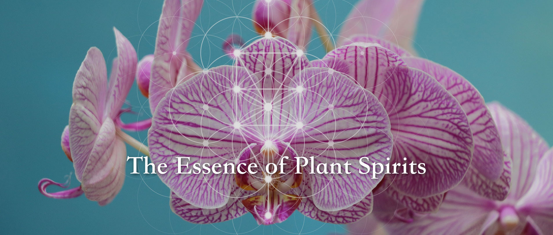 The Essence | Natural Esoterics