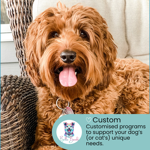 Bella Band Tag - Custom | Bella Bands