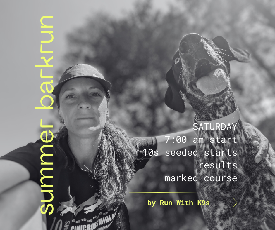 Summer BarkRun | Run With K9s