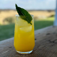 Nottingham Farm Stay | Orange, NSW