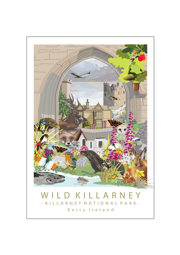 Flora and fauna of Killarney National Park - illustrated poster print ...