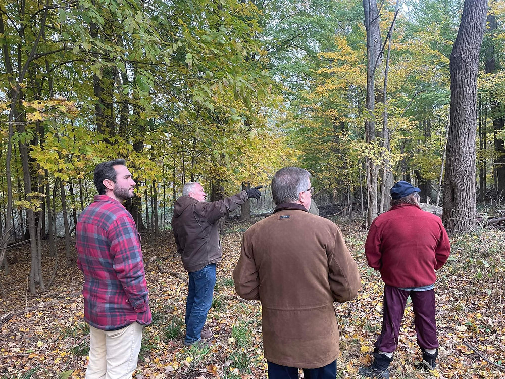 Forest Inspections for Tax Inspections