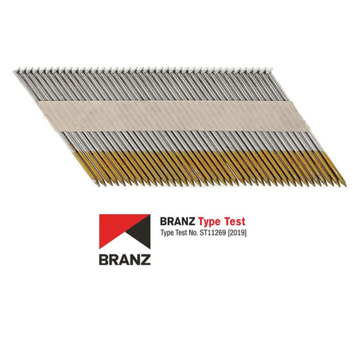 D-Head Nails Bright | Praise Ltd