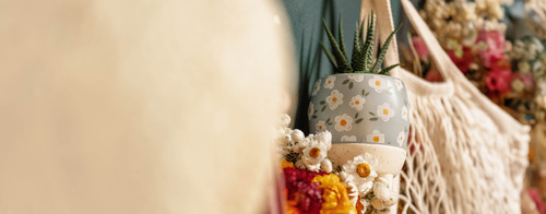 Spring | Livetrends Design