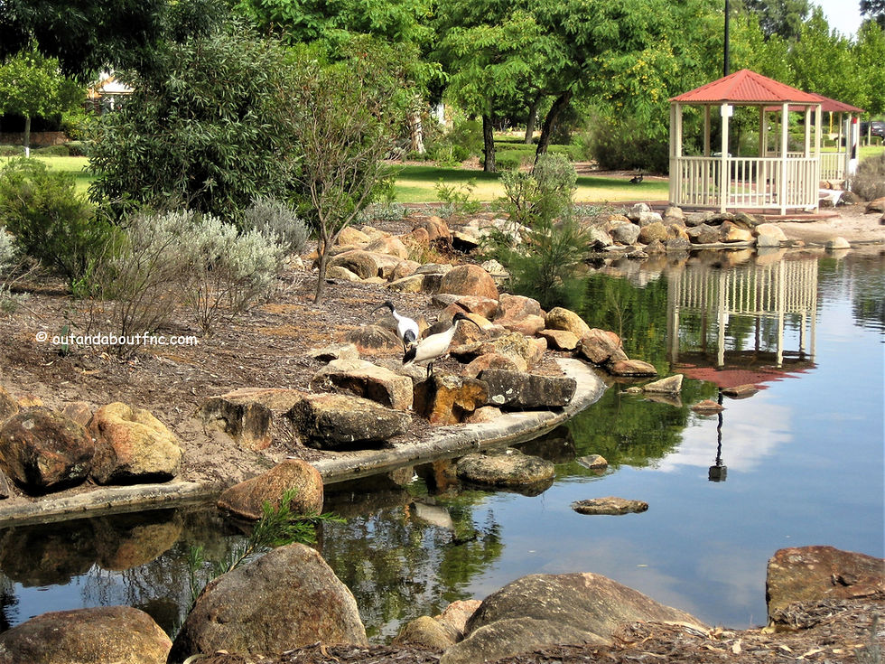 Woodlake Park and Nature Playground - Ellenbrook