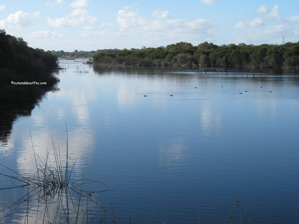 Lake Joondalup - Picnic Cove to Ocean Reef Road in Yellagonga Regional Park