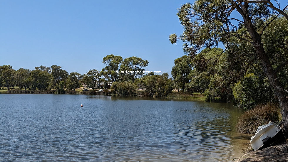 Jackadder Lake, Woodlands - Jackadup
