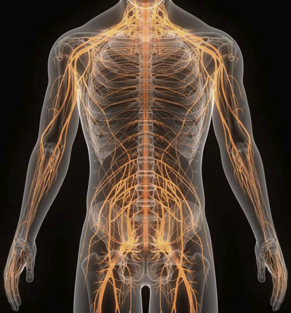 Home | Neuropathy Center of Idaho