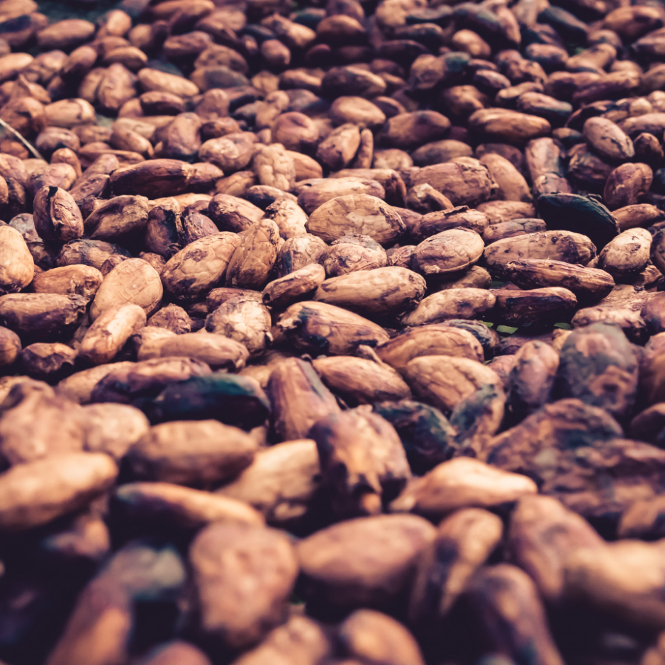Kusk refillable and reusable packaging made from COCOA