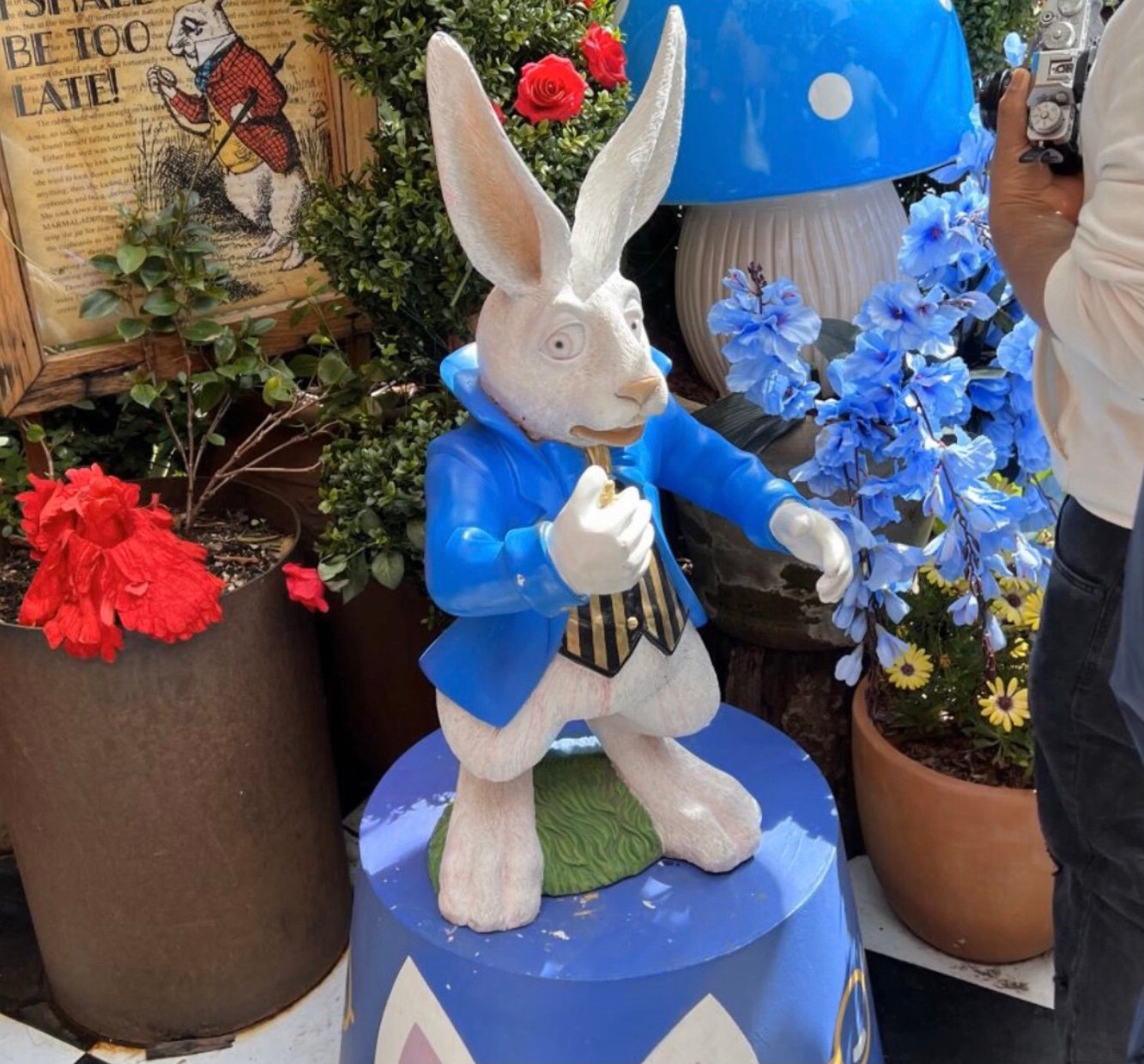 White Rabbit | Imagination Props