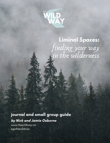 Liminal Spaces Companion Journal | The Wild Way