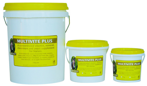 Equi-Gold Multivite Plus | Phoenix Pharm Distri