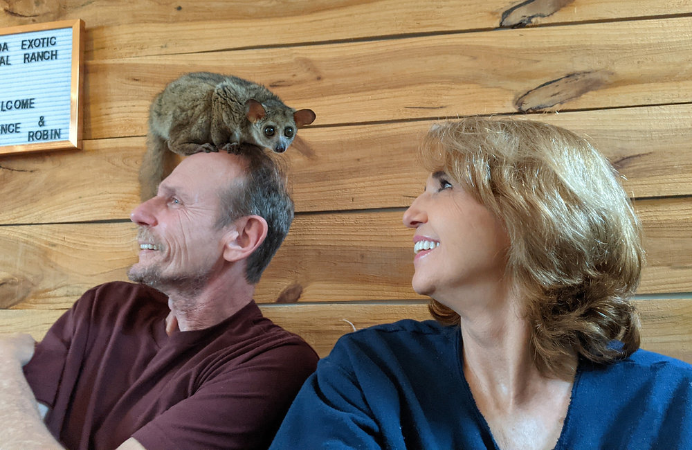 Cuddle Cabin | Exotic Animal Experiences