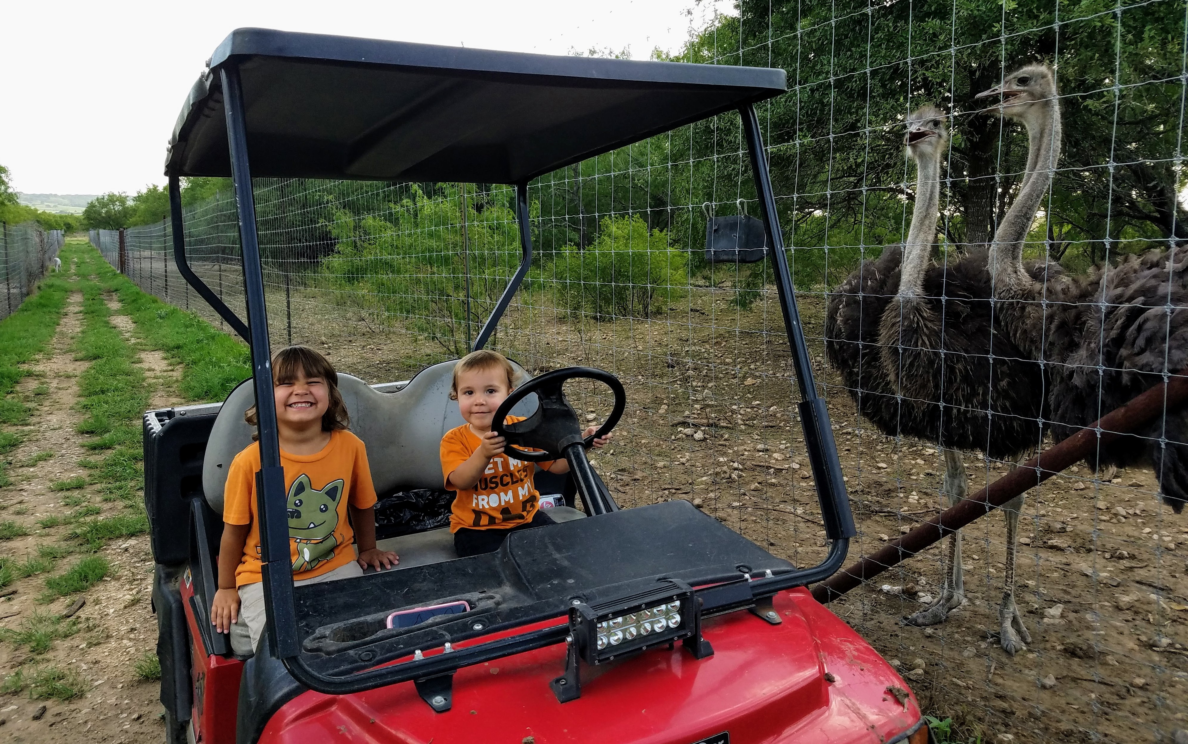 About Us | Janda Exotics Animal Ranch Kingsbury Texas