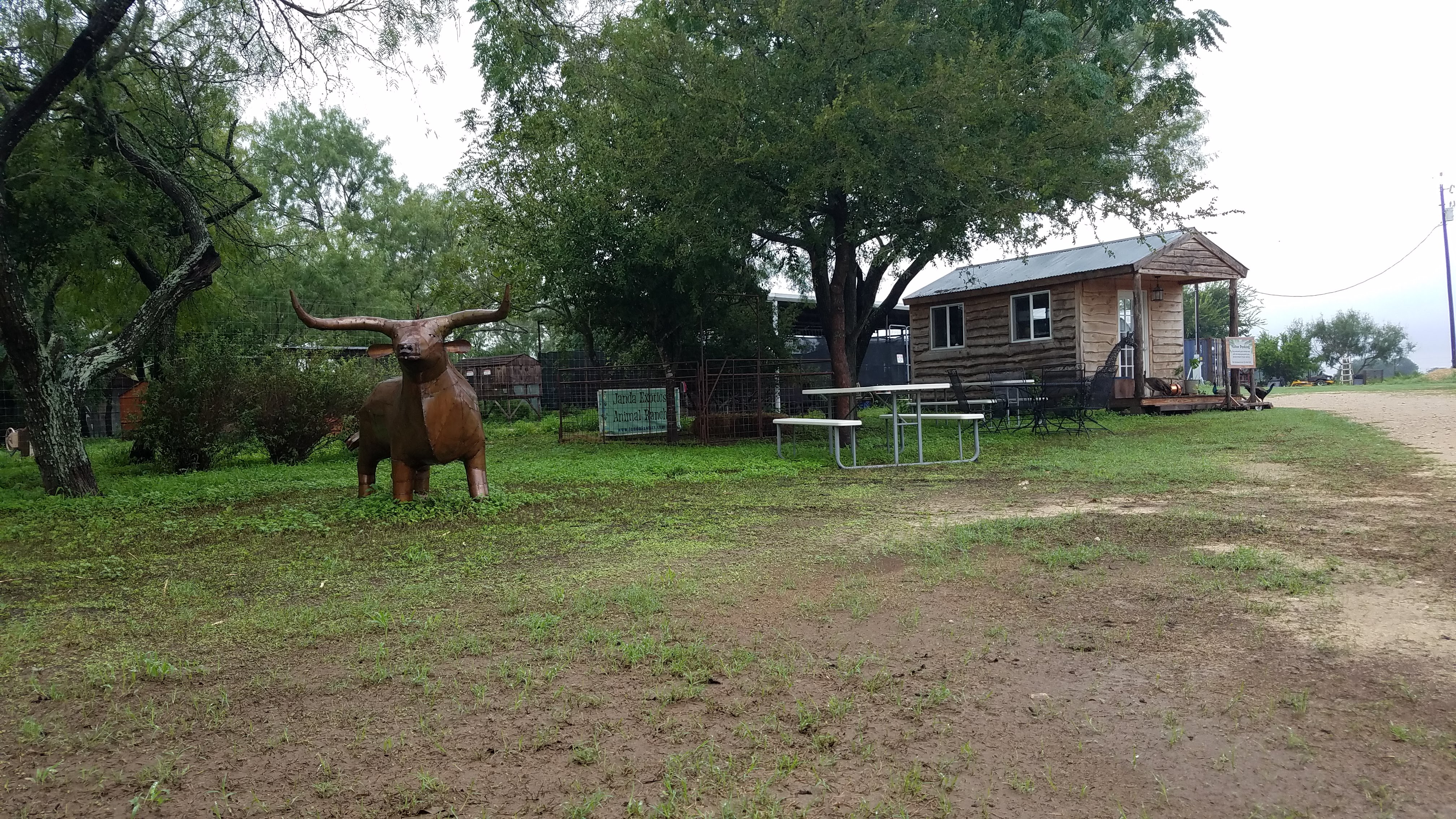 About Us | Janda Exotics Animal Ranch Kingsbury Texas