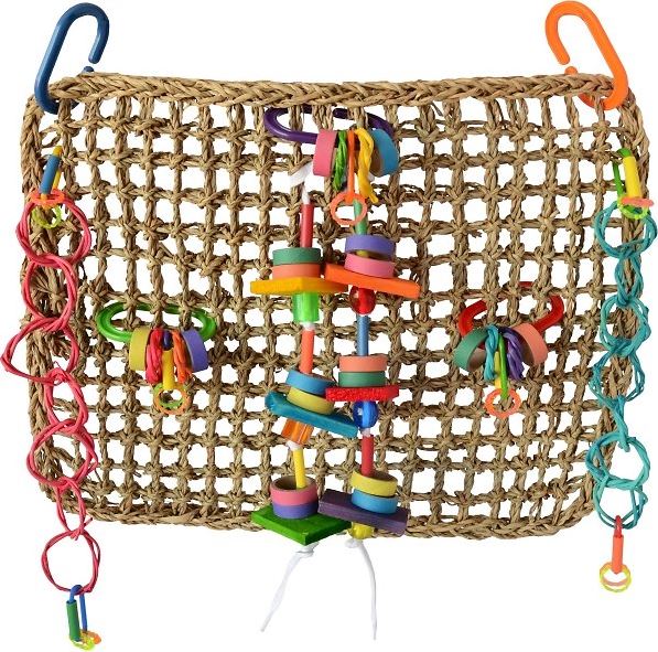 Black Tailed Prairie Dog Complete Care Guide | Captive care including ...