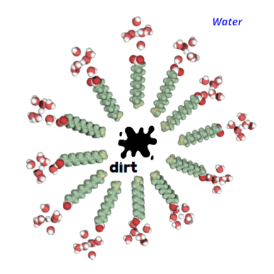 What is Soap? Looking into the Ingredients and Their Roles