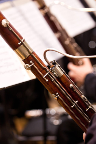 BASSOON group 10 x 30 min lesson - for beginners and Grade 1 student ...