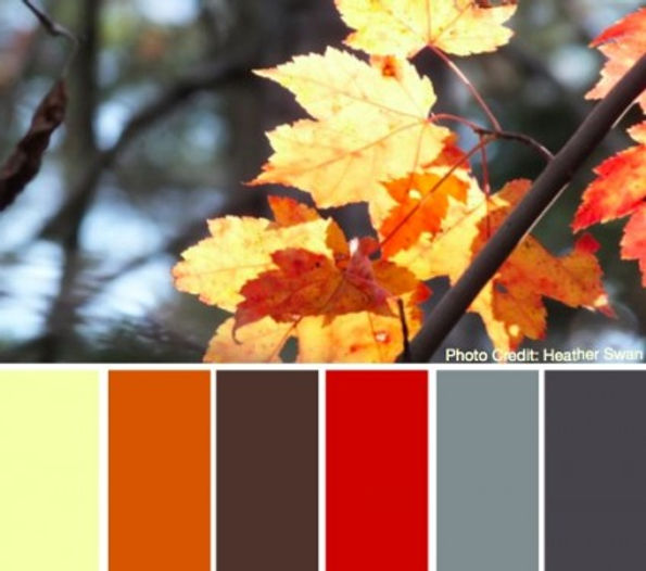 Colour Palette of The Month: October