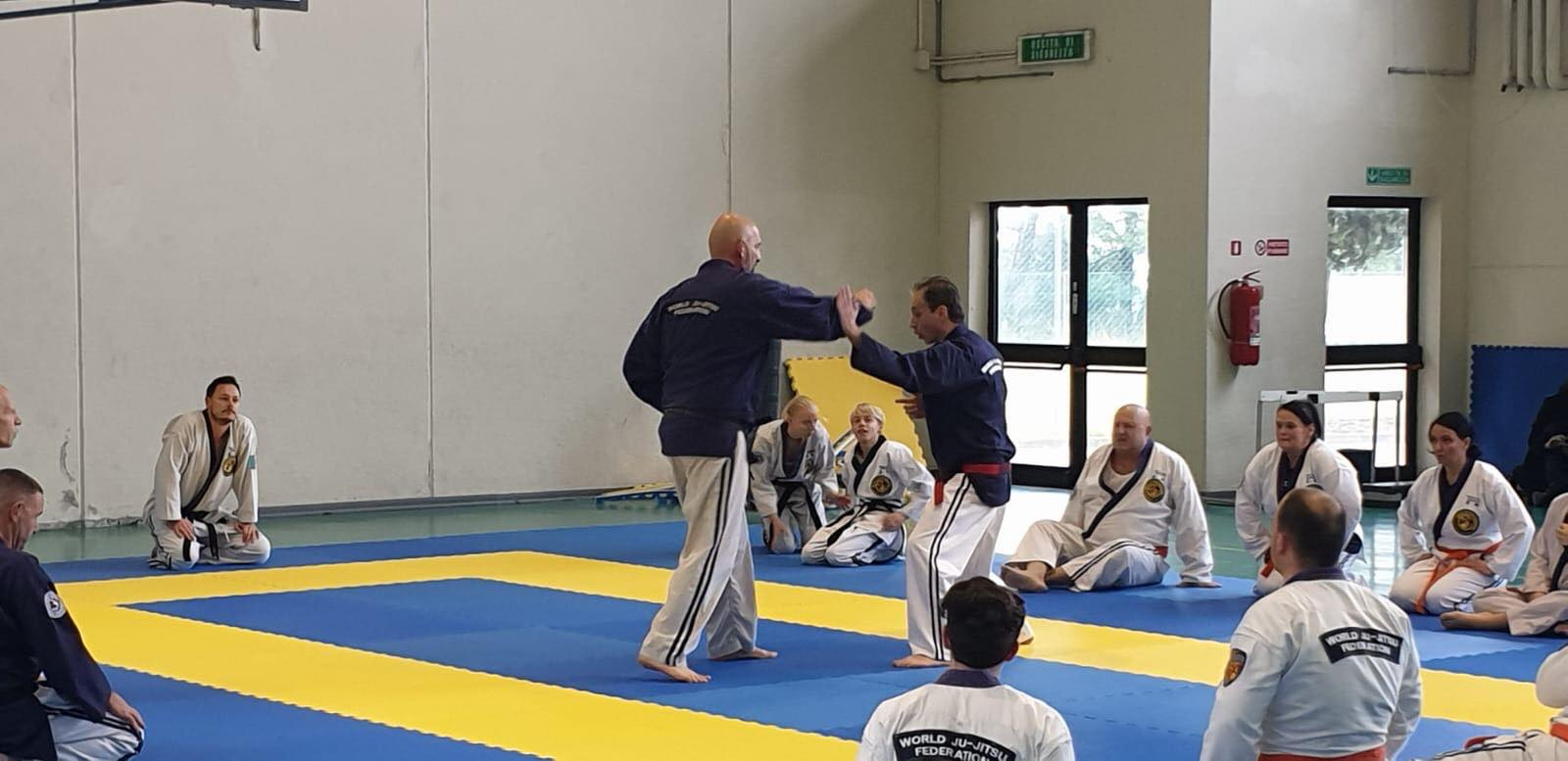 Corsi Ju Jitsu WJJF PMA Italia